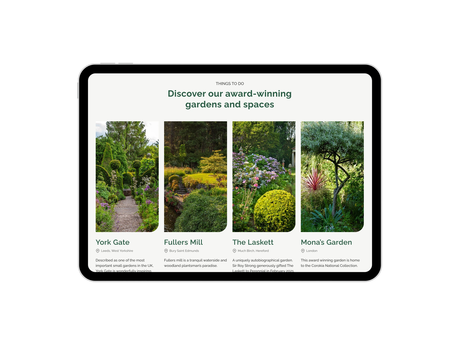 Perennial | Giant Digital